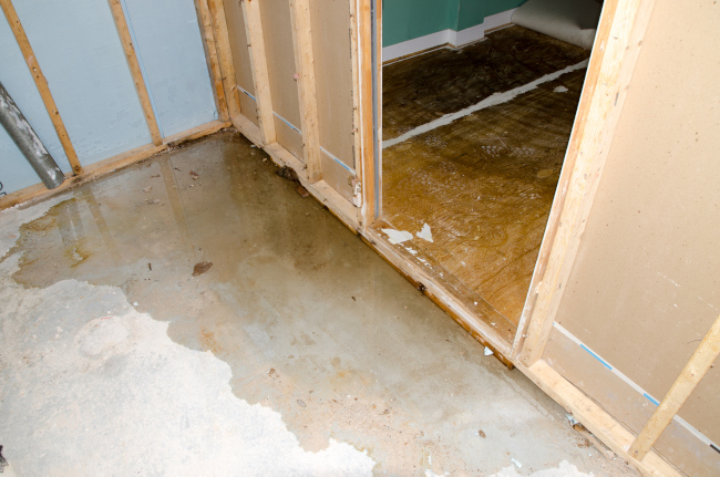Specials | Environmental Mold Solutions LLC